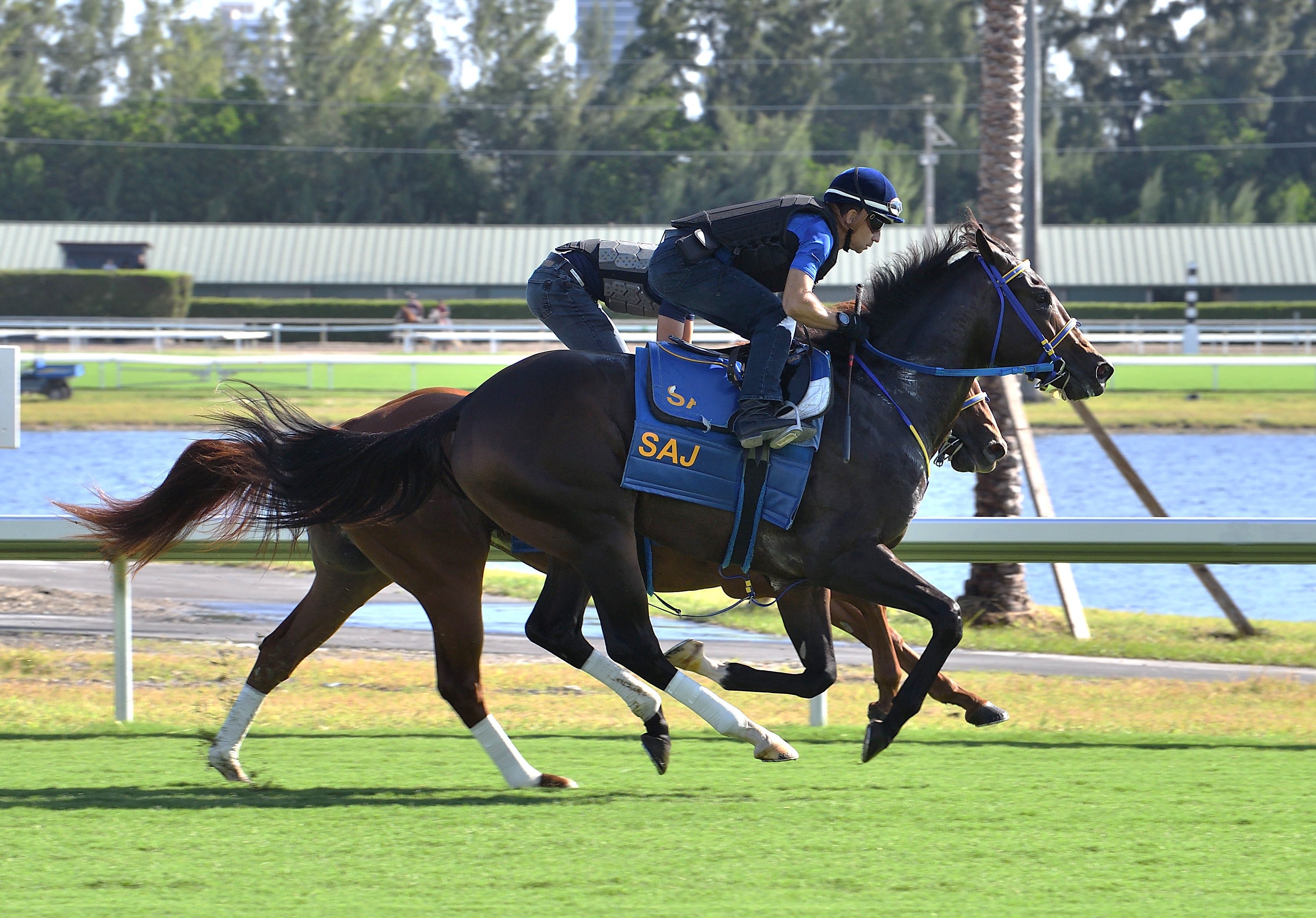 New turf course, new stables, and high expectations as meet begins